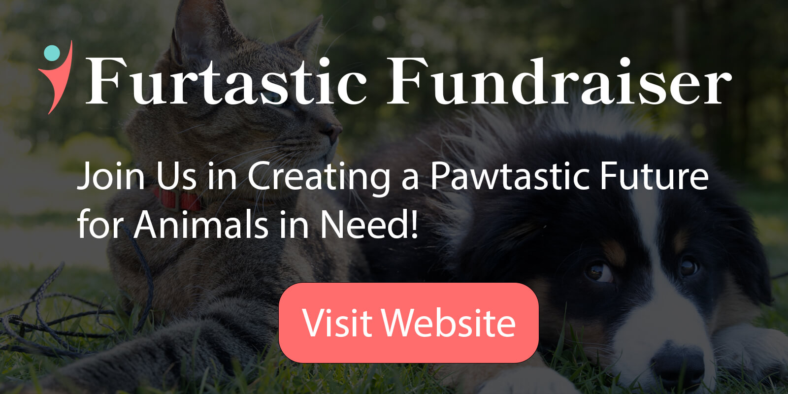 Furtastic Fundraiser